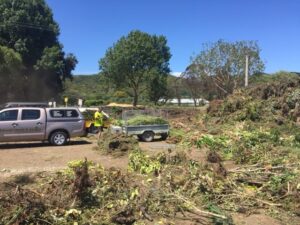Green Waste Disposal – Composting New Zealand