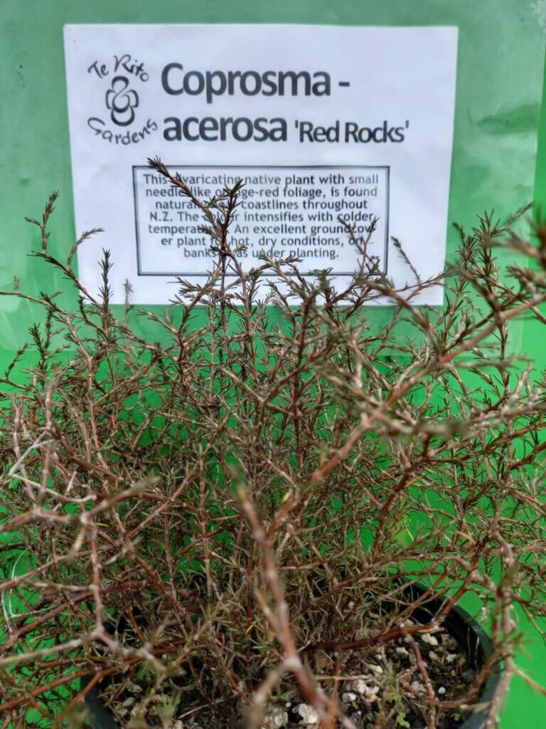 Te Rito Plants – Masterton Branch – Composting New Zealand